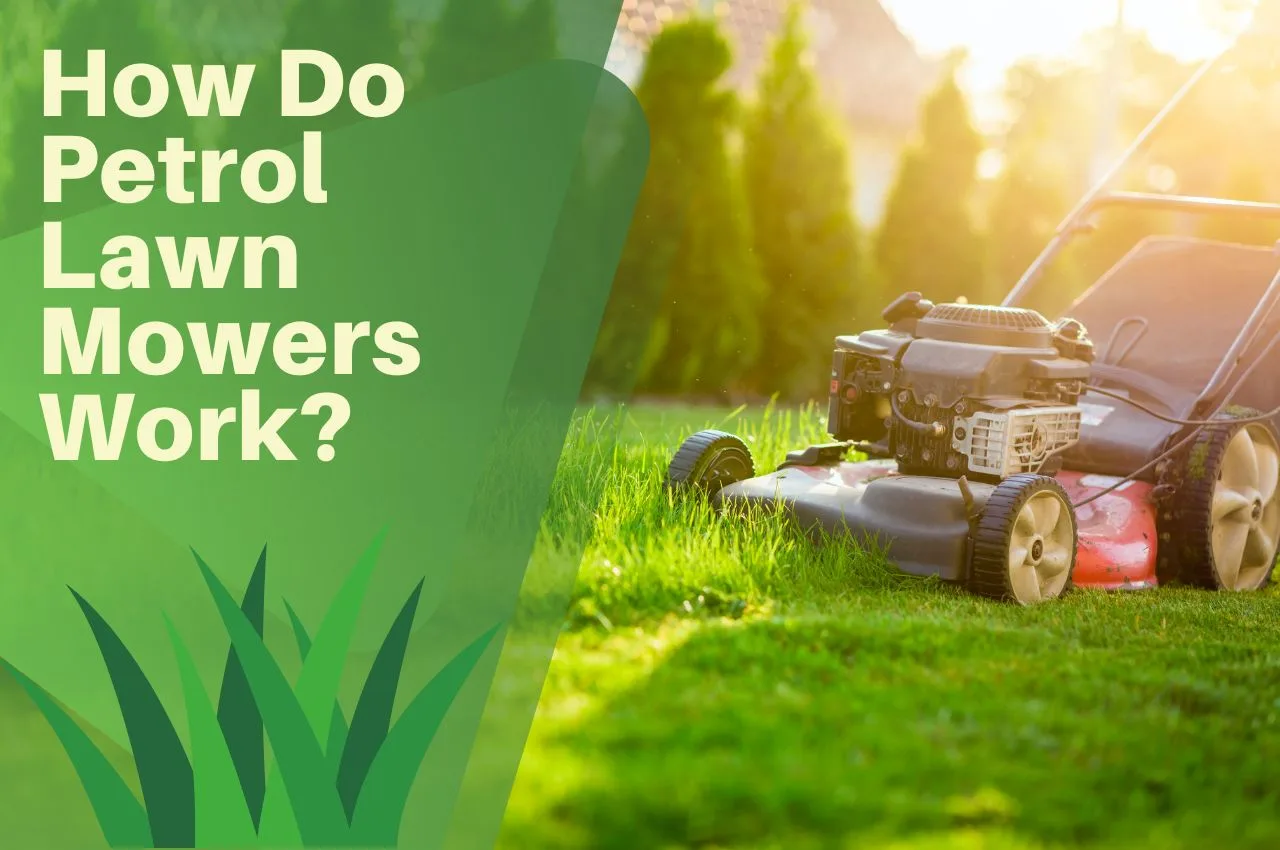 How Do Petrol Lawn Mowers Work? - The Turf Doctor