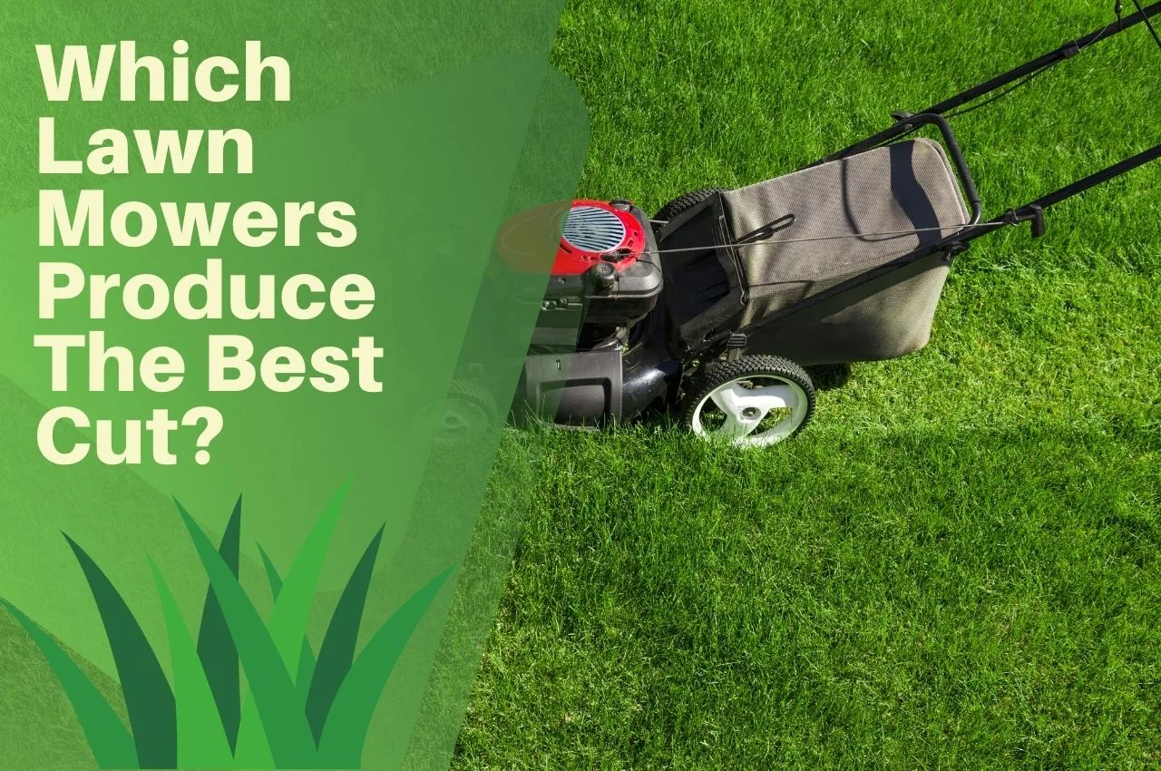 Which Lawn Mowers Produce The Best Cut? - The Turf Doctor