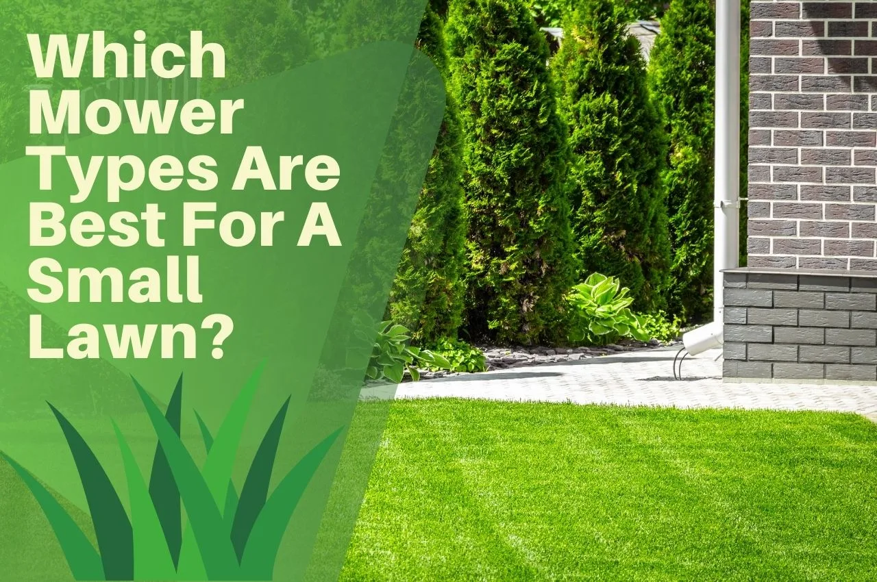 Which Mower Types Are Best For A Small Lawn? - The Turf Doctor