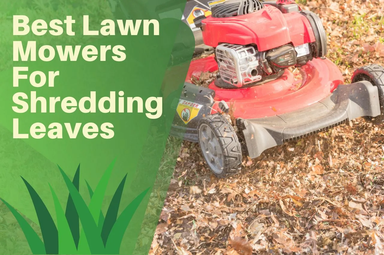 Best Lawn Mowers For Shredding Leaves UK January 2025 - The Turf Doctor