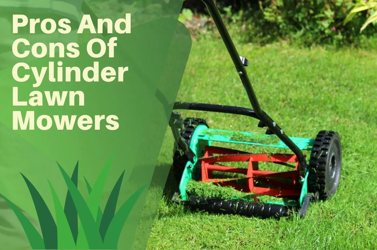 Pros And Cons Of Cylinder Lawn Mowers (UK) - The Turf Doctor