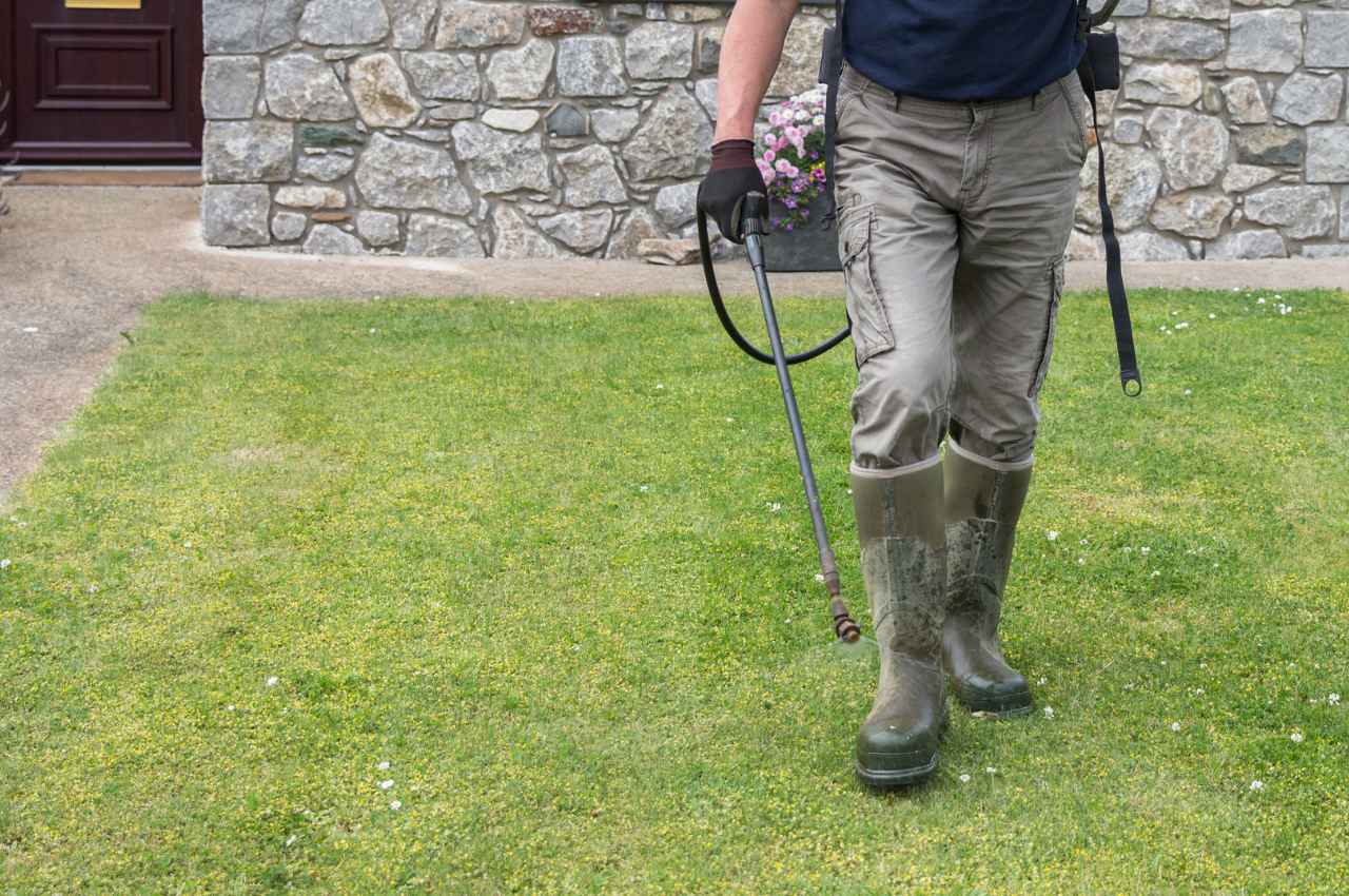 How to Renovate a Lawn in 8 Steps (Starting from Scratch) - The Turf Doctor