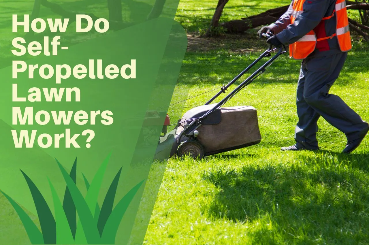 How Do Self-Propelled Lawn Mowers Work? - The Turf Doctor
