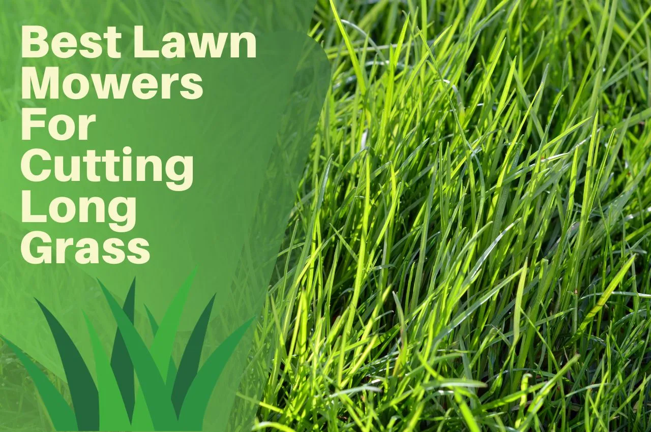 Best Lawn Mowers For Cutting Long Grass January 2026 - The Turf Doctor